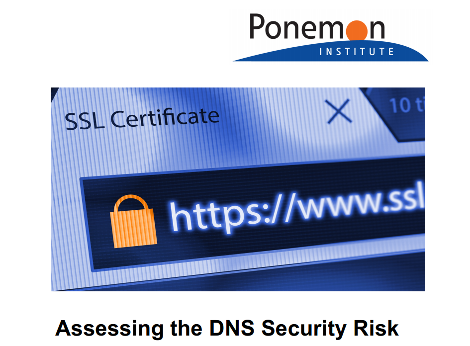 Assessing the DNS Security Risk