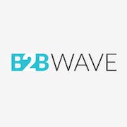 Resources by B2B Wave on Insights for Professionals